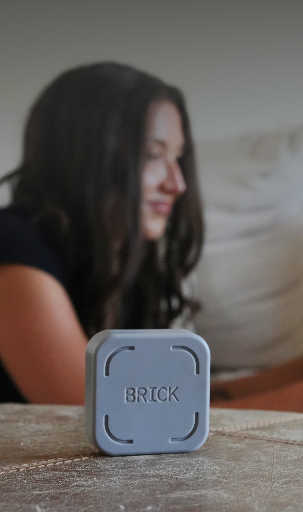 Brick — Take Back Your Time – Brick LLC