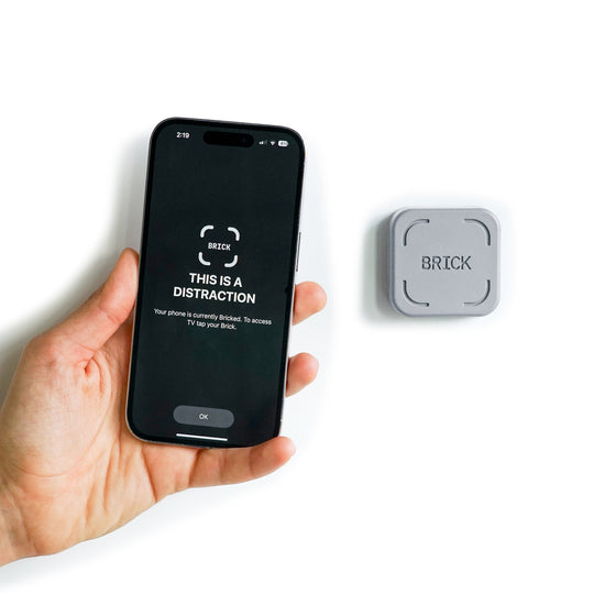 Brick - Do More of What Matters – Brick LLC